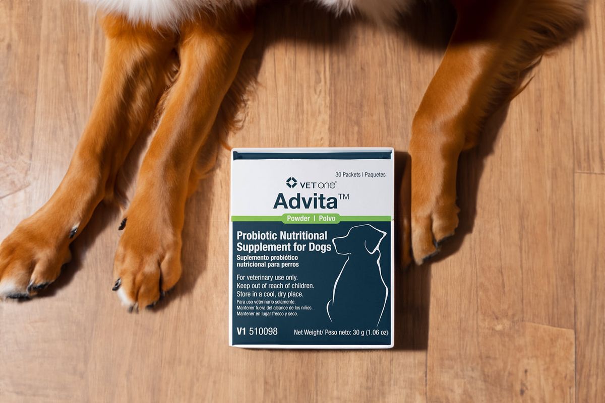 Advita Probiotic Nutritional Supplement Review | Doggy's Digest